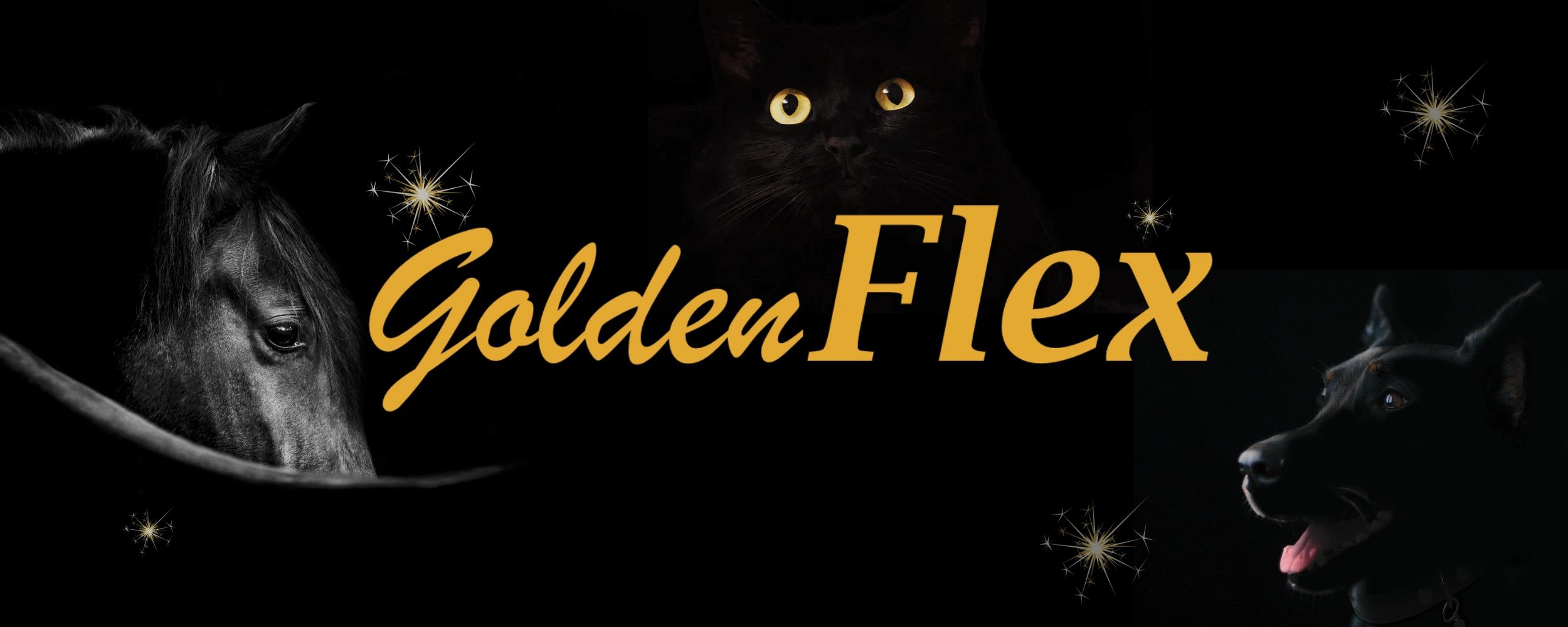 Goldenflex - Points de vente